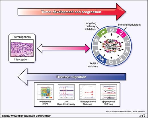 Cancer Interception | Cancer Prevention Research | American Association ...