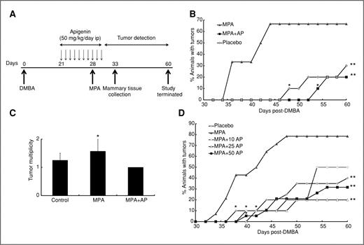 Apigenin Prevents Development of Medroxyprogesterone Acetate ...