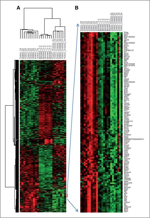 Modulation of Gene Expression and Cell-Cycle Signaling Pathways by the ...