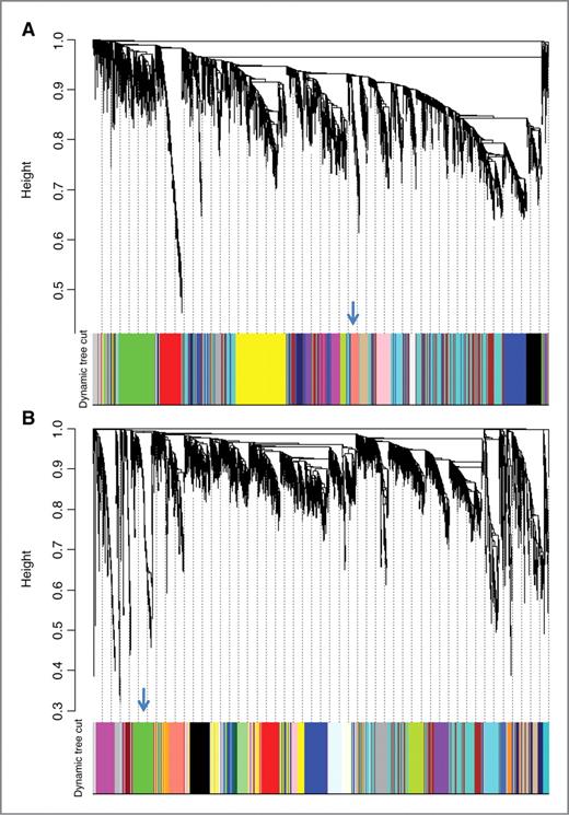 Modulation of Gene Expression and Cell-Cycle Signaling Pathways by the ...