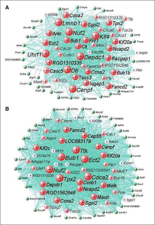 Modulation of Gene Expression and Cell-Cycle Signaling Pathways by the ...