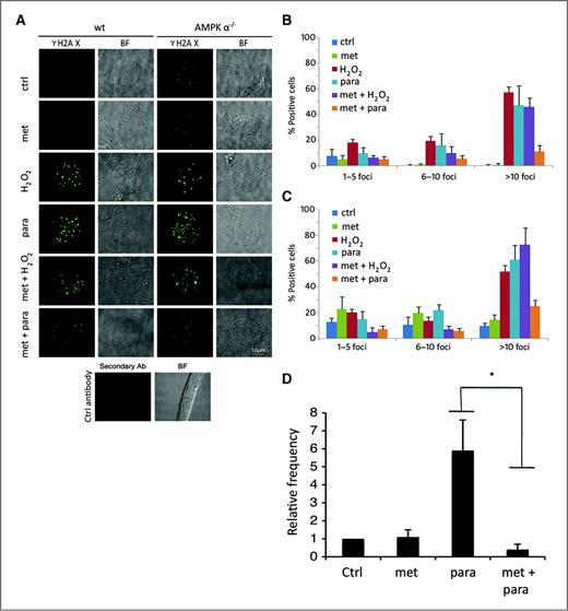 Metformin Reduces Endogenous Reactive Oxygen Species and Associated DNA ...