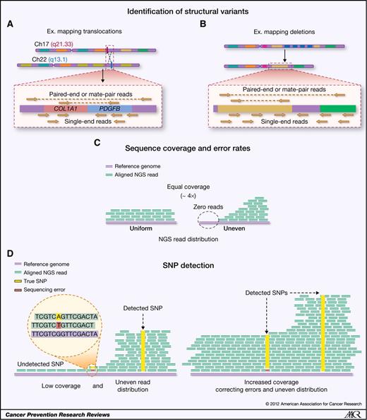 Key Principles and Clinical Applications of “Next-Generation” DNA ...