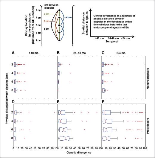 Temporal and Spatial Evolution of Somatic Chromosomal Alterations: A ...