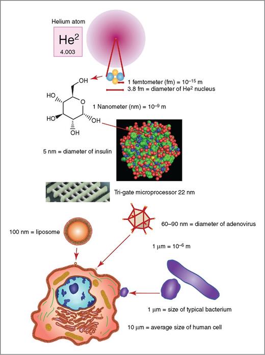 Convergence of Nanotechnology and Cancer Prevention: Are We There Yet ...