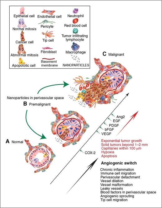 Convergence of Nanotechnology and Cancer Prevention: Are We There Yet ...