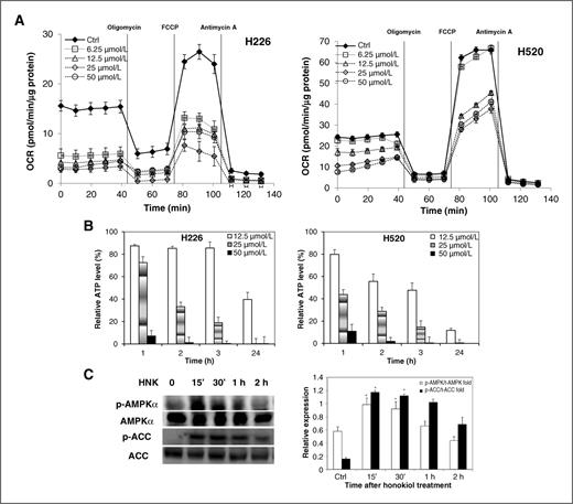 Honokiol Inhibits Lung Tumorigenesis through Inhibition of ...