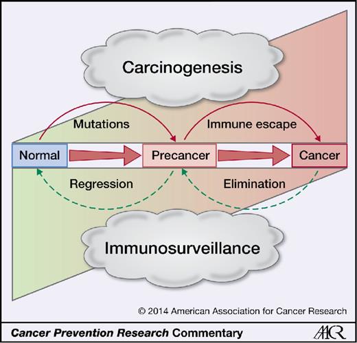 Cancer Immunoprevention: A New Approach to Intercept Cancer Early ...