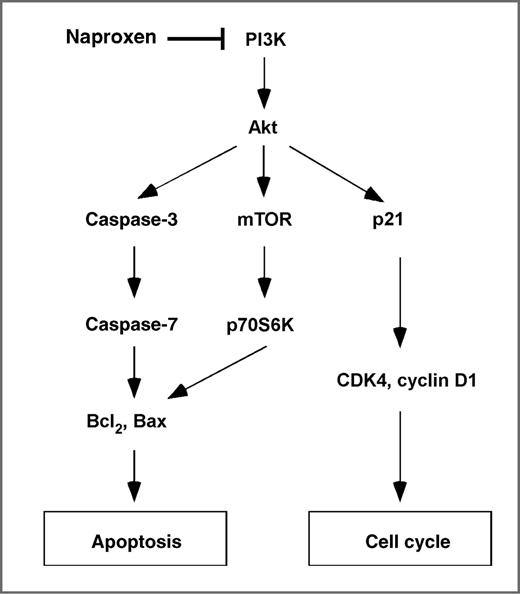 Naproxen Induces Cell-Cycle Arrest and Apoptosis in Human Urinary ...