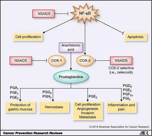 Aspirin and Other NSAIDs as Chemoprevention Agents in Melanoma | Cancer ...