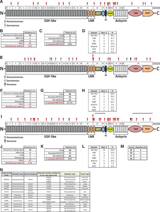 Notch1 Mutations Are Drivers of Oral Tumorigenesis | Cancer Prevention ...
