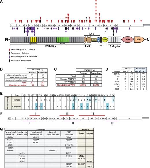 Notch1 Mutations Are Drivers of Oral Tumorigenesis | Cancer Prevention ...