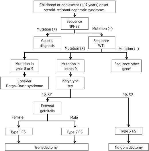 Gonadal Tumor in Frasier Syndrome: A Review and Classification | Cancer ...