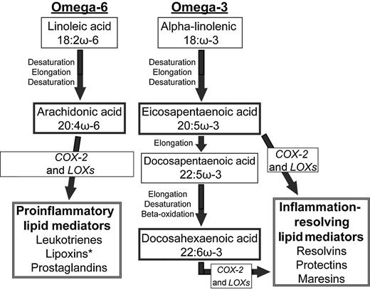 Omega-3 and Omega-6 Fatty Acids in Blood and Breast Tissue of High-Risk ...
