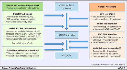 Colorectal Cancer and Dysplasia in Inflammatory Bowel Disease: A Review ...
