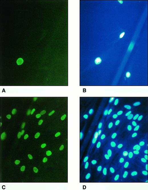 Biological Activities and Signaling Pathways of the Granulin/Epithelin ...