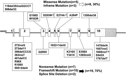 Screening of the MEN1 Gene and Discovery of Germ-Line and Somatic ...