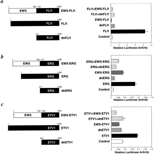 EWS-FLI1, EWS-ERG, and EWS-ETV1 Oncoproteins of Ewing Tumor Family All ...