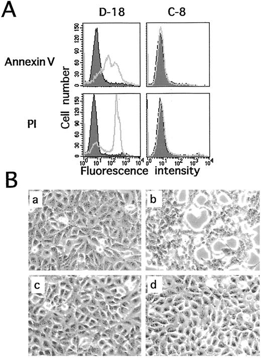 Ganglioside GD2 in Small Cell Lung Cancer Cell Lines | Cancer Research ...