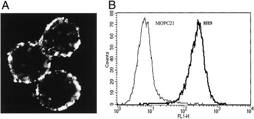 Monoclonal Antibody 8H9 Targets a Novel Cell Surface Antigen Expressed ...