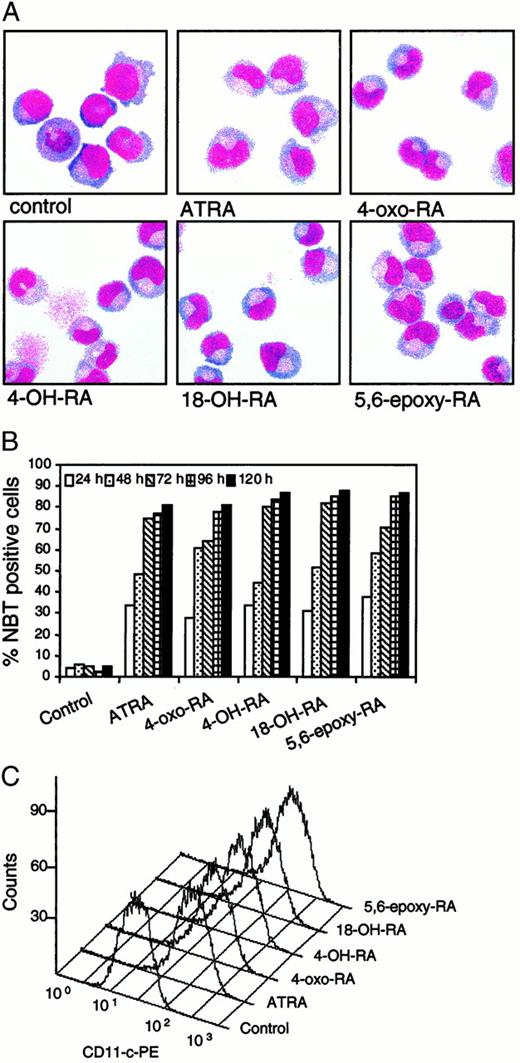 Granulocytic Differentiation of Human NB4 Promyelocytic Leukemia Cells ...