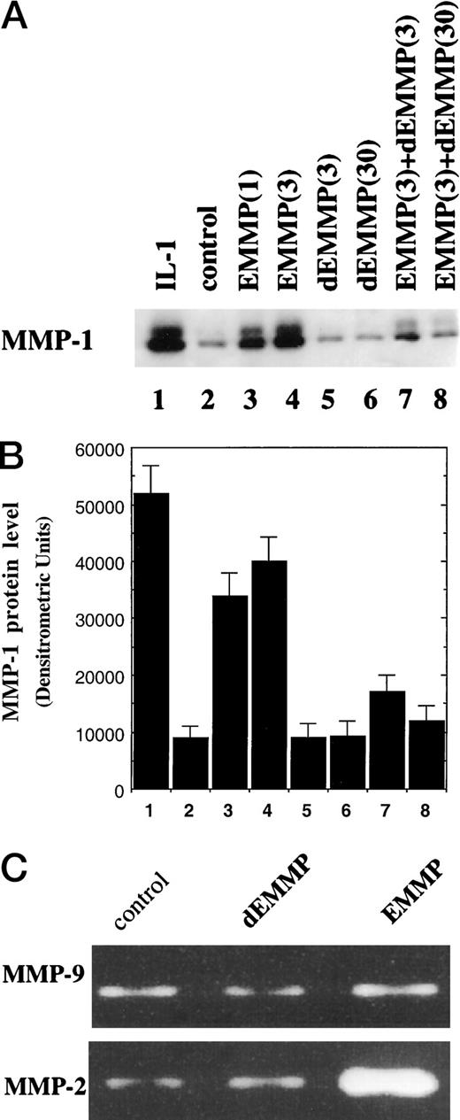 Regulation of MMP-1 and MMP-2 Production through CD147/Extracellular ...