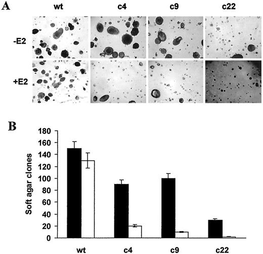 Growth Suppression of the Hepatocellular Carcinoma Cell Line Hepa1-6 by ...