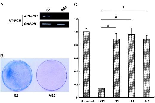 Isolation of a Novel Human Gene, APCDD1, as a Direct Target of the β ...