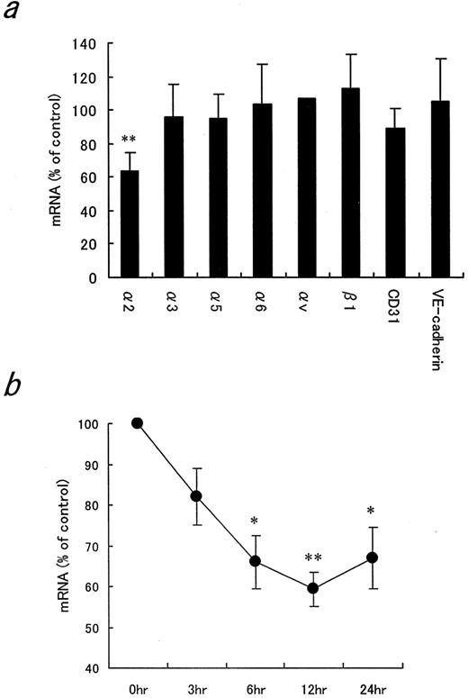 Sulfonamide Derivative, E7820, Is a Unique Angiogenesis Inhibitor ...