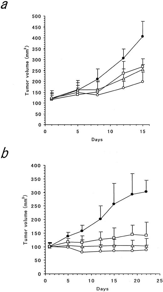 Sulfonamide Derivative, E7820, Is a Unique Angiogenesis Inhibitor ...