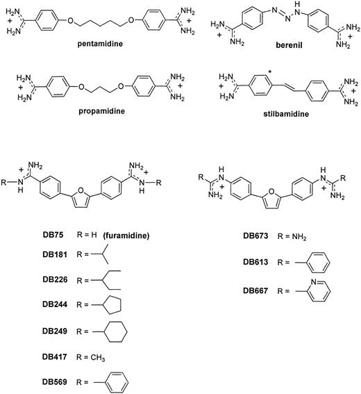 Distribution of Furamidine Analogues in Tumor Cells | Cancer Research ...