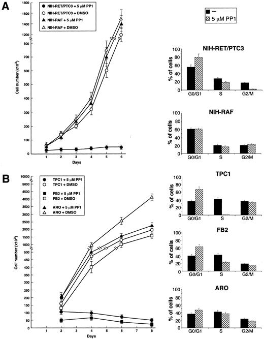 The Kinase Inhibitor PP1 Blocks Tumorigenesis Induced by RET Oncogenes1 ...