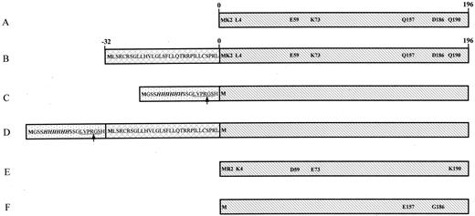 Characterization of Human UMP/CMP Kinase and Its Phosphorylation of d ...
