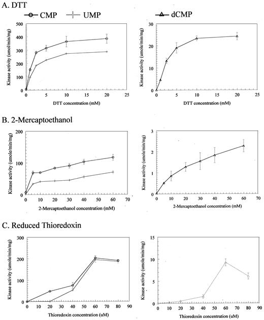 Characterization of Human UMP/CMP Kinase and Its Phosphorylation of d ...