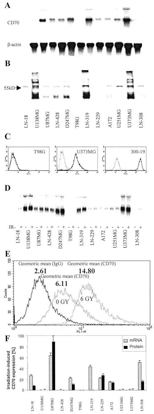 Identification of CD70-mediated Apoptosis of Immune Effector Cells as a ...
