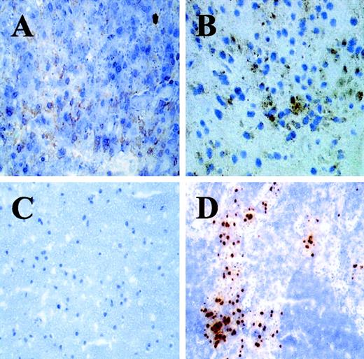 Identification of CD70-mediated Apoptosis of Immune Effector Cells as a ...