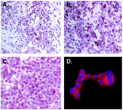 Acetylcholine Is Synthesized by and Acts as an Autocrine Growth Factor ...