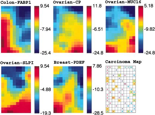 Identifying Tumor Origin Using a Gene Expression-based Classification ...