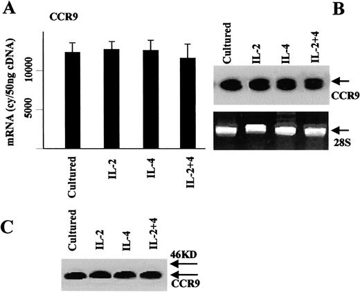 Selectively Increased Expression and Functions of Chemokine Receptor ...