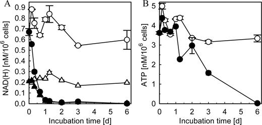 FK866, a Highly Specific Noncompetitive Inhibitor of Nicotinamide ...