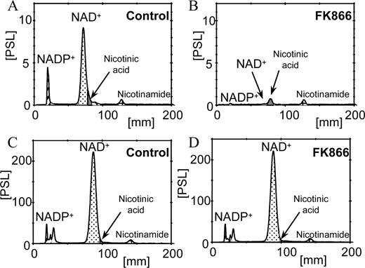 FK866, a Highly Specific Noncompetitive Inhibitor of Nicotinamide ...