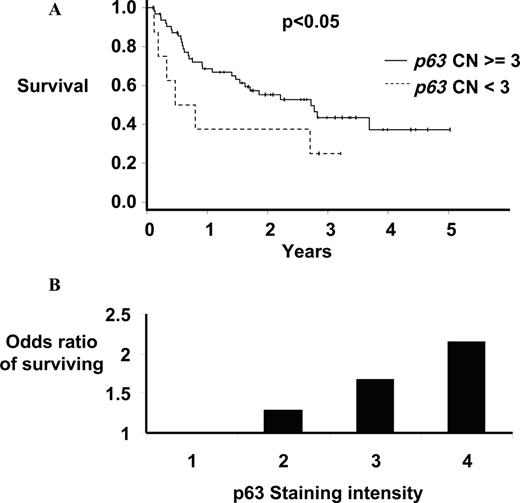 Significance of p63 Amplification and Overexpression in Lung Cancer ...