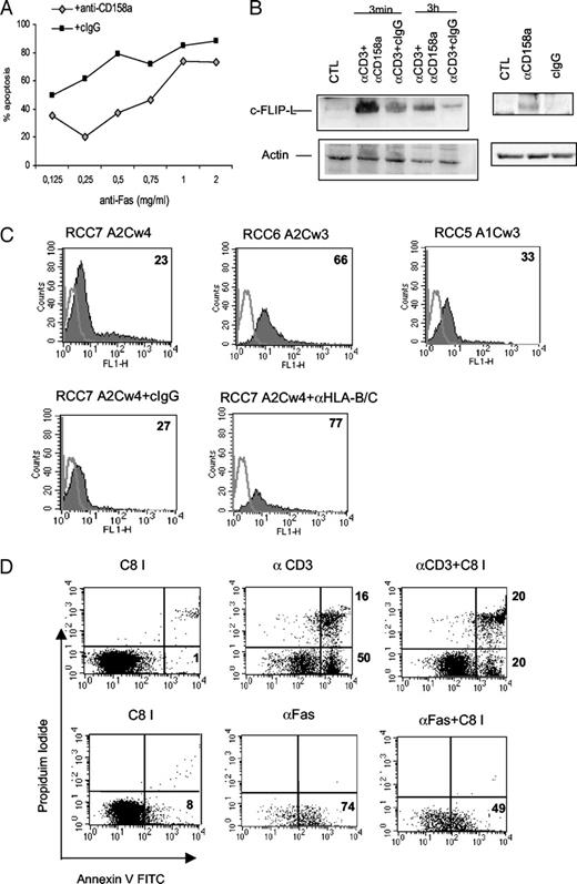 CD158 Receptor Controls Cytotoxic T-Lymphocyte Susceptibility to Tumor ...