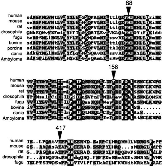 Mutation Spectrum of the 9q34 Tuberous Sclerosis Gene TSC1 in ...