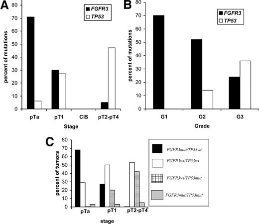 FGFR3 and TP53 Gene Mutations Define Two Distinct Pathways in ...
