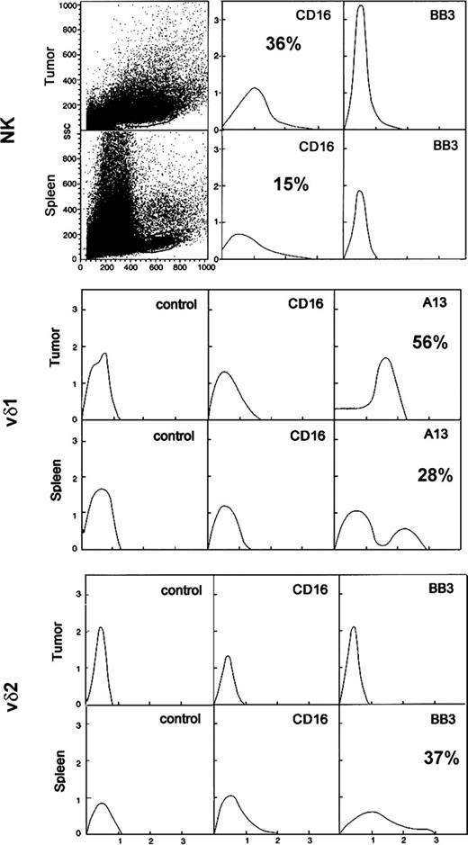 Effect Of Human Natural Killer and γδ T Cells on the Growth of Human ...
