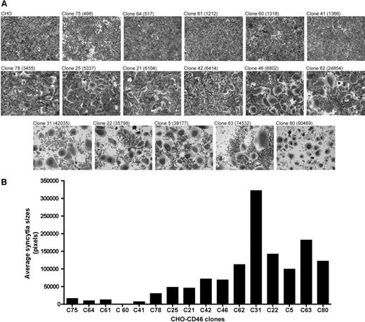 High CD46 Receptor Density Determines Preferential Killing of Tumor ...