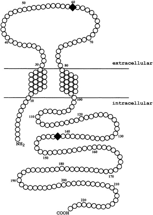 Sigma Receptors and Cancer | Cancer Research | American Association for ...