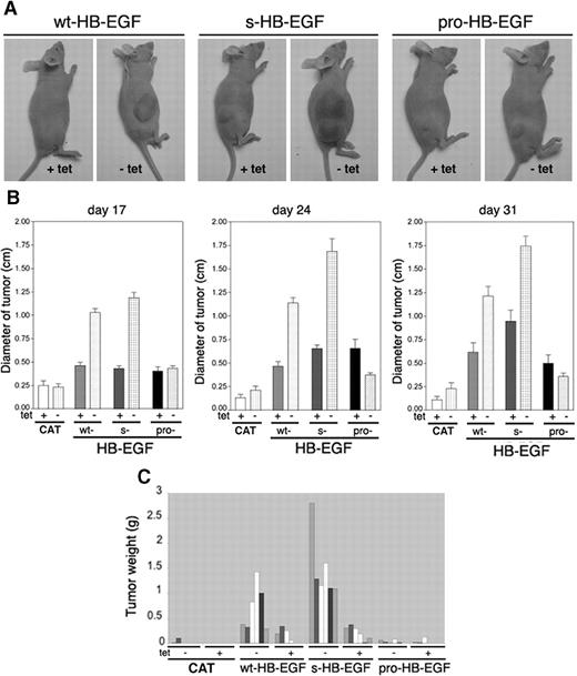 HB-EGF Is a Potent Inducer of Tumor Growth and Angiogenesis | Cancer ...