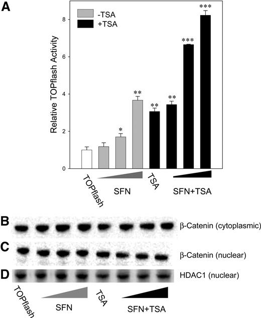 A Novel Mechanism of Chemoprotection by Sulforaphane | Cancer Research ...